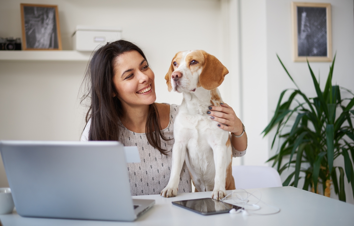 Contact | Land Detector